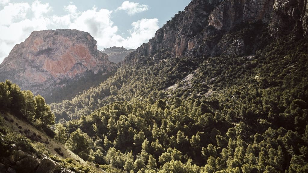 Discover & Enjoy the Mountains of Malaga | Palacio Solecio